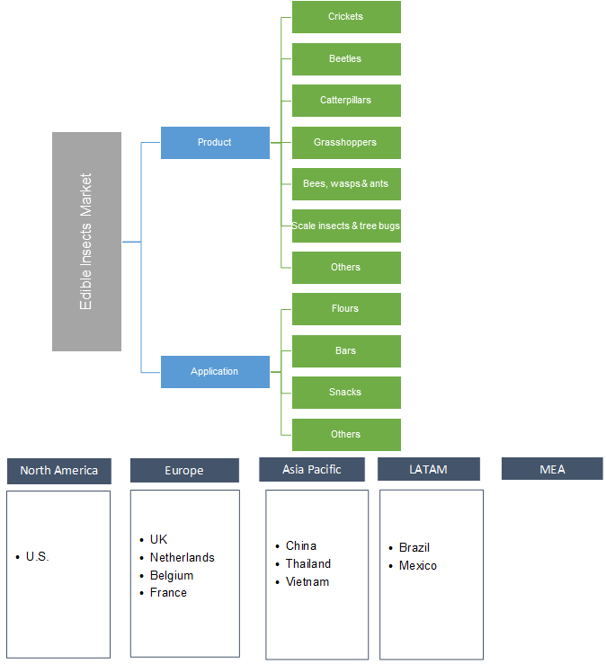 Edible Insects Market Size - Global 2018-2024 Growth Report