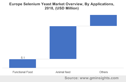 Selenium Yeast Market Overview | Share Statistics Report 2026