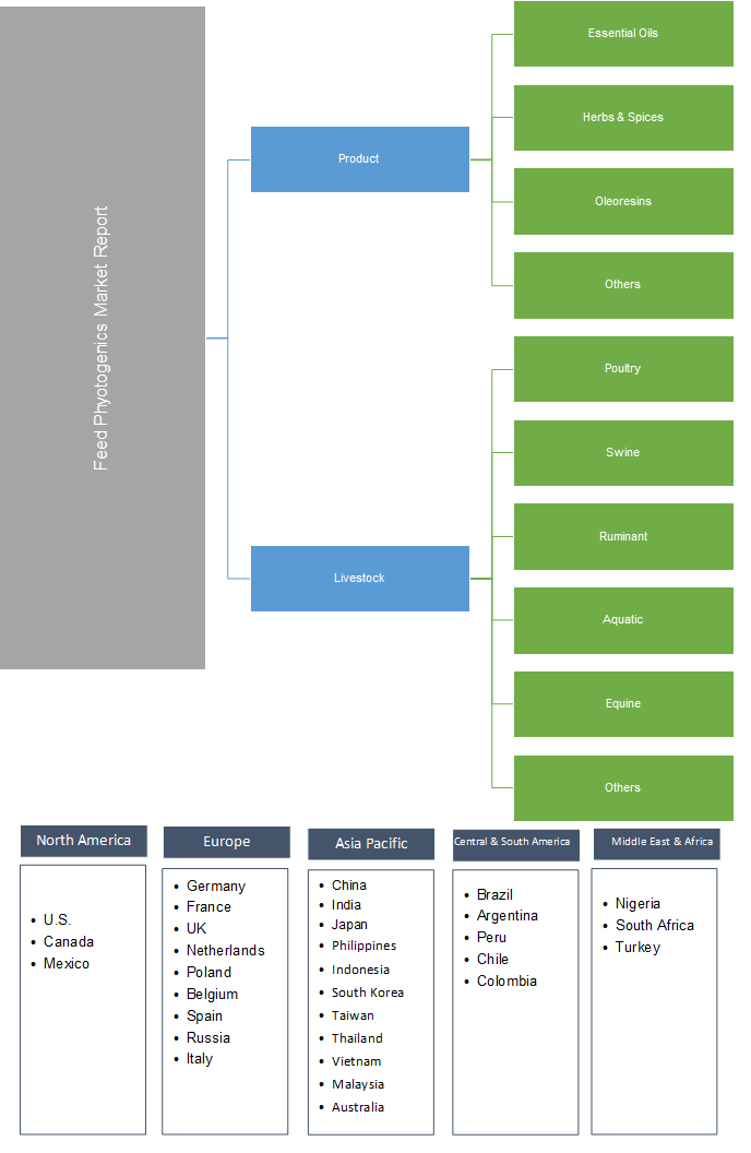 Feed Phytogenics Market Share Industry Growth Forecast Report 2024