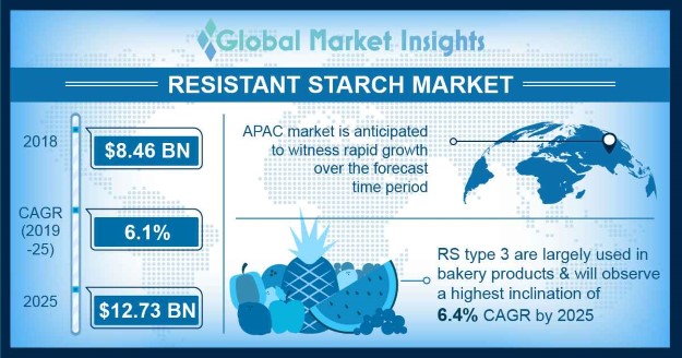 Resistant Starch Market Size Outlook Report 2019-2025