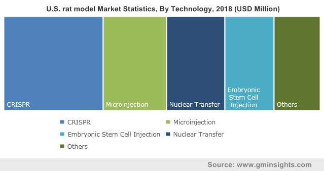 Rat Model Market Growth Statistics 2025 | Analysis Report